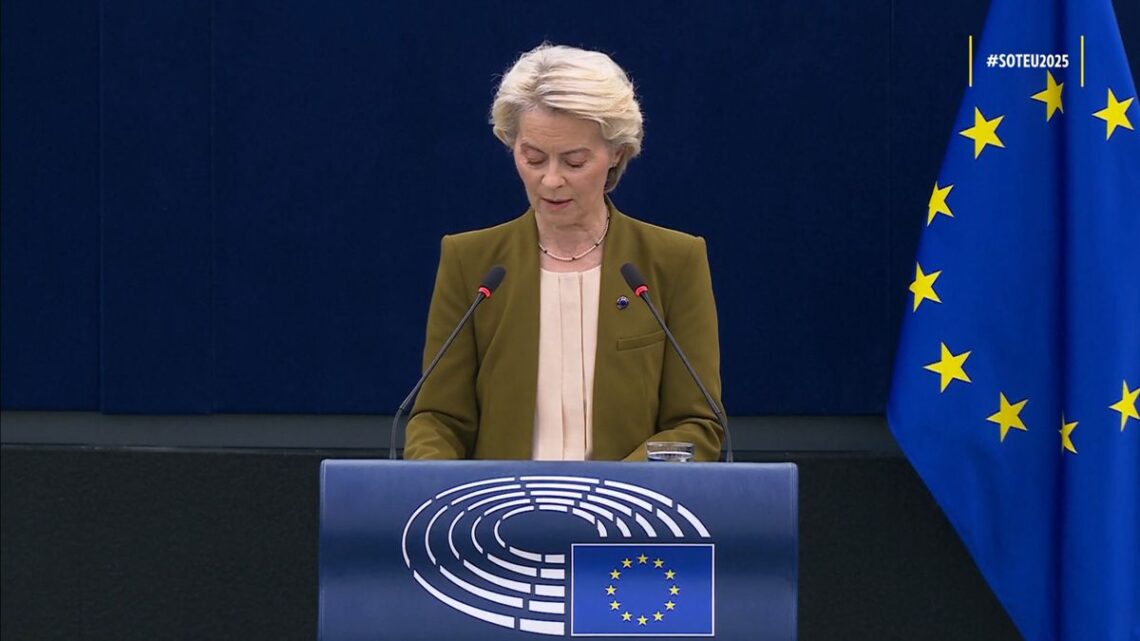 European Union will allocate €6 billion to the Drone Alliance ...